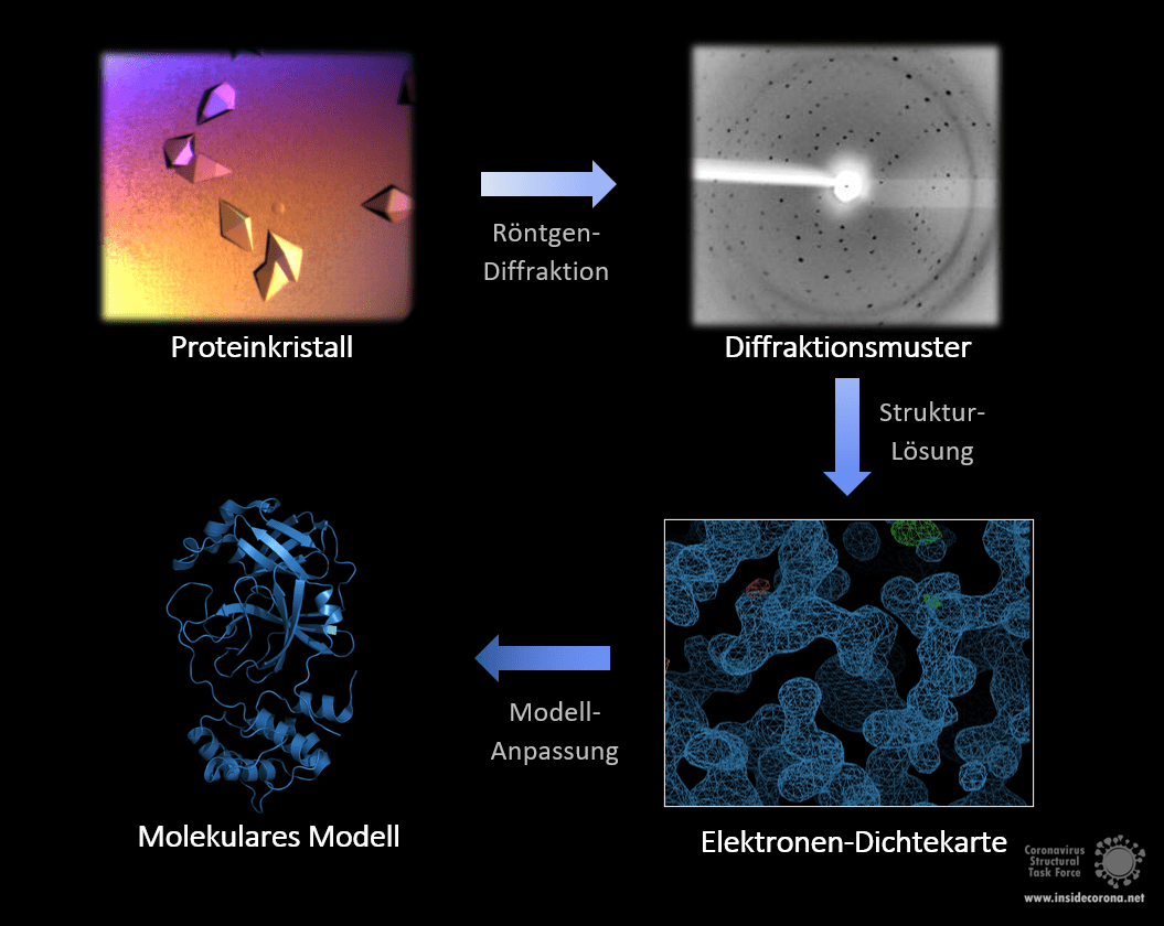 Wie messen wir makromolekulare Strukturen? » inside corona