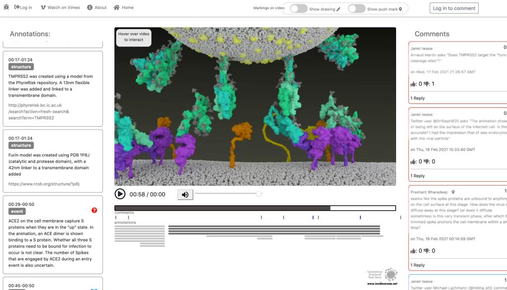 SARS-CoV-2 Entry Animation from Iwasa Group – a little Christmas ...