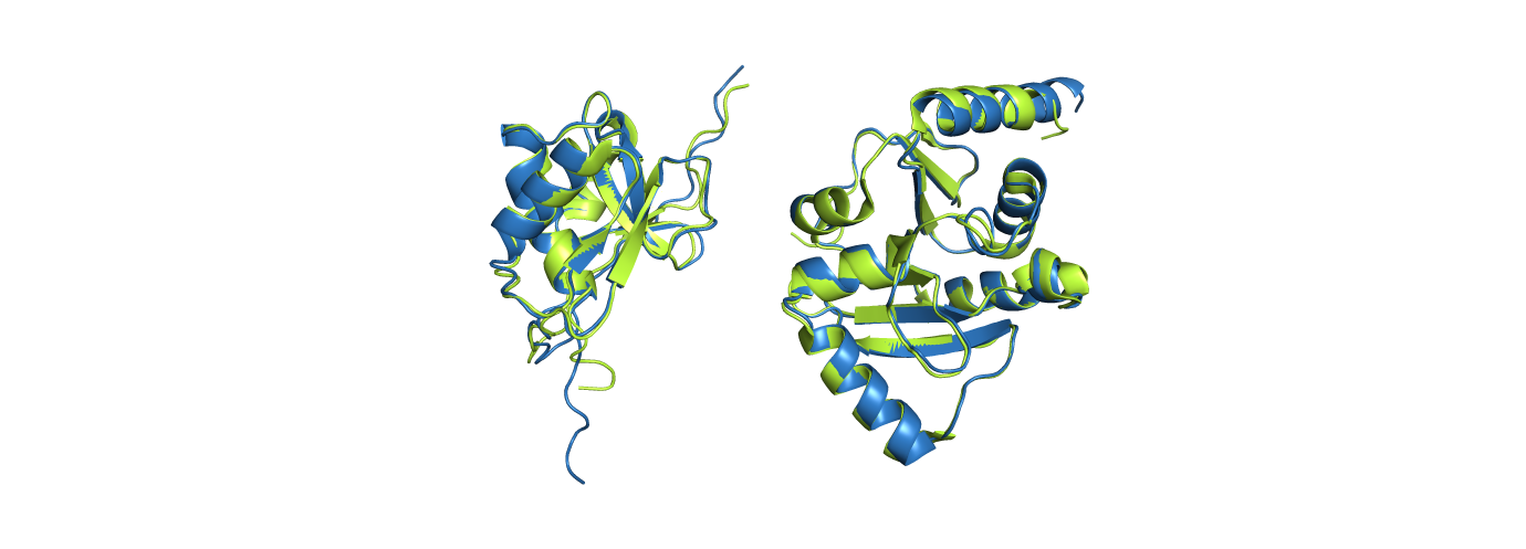 AlphaFold – ein Game Changer in der Strukturbiologie? » inside corona